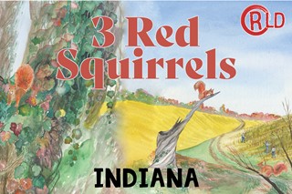 3 Red Squirrels - Activities